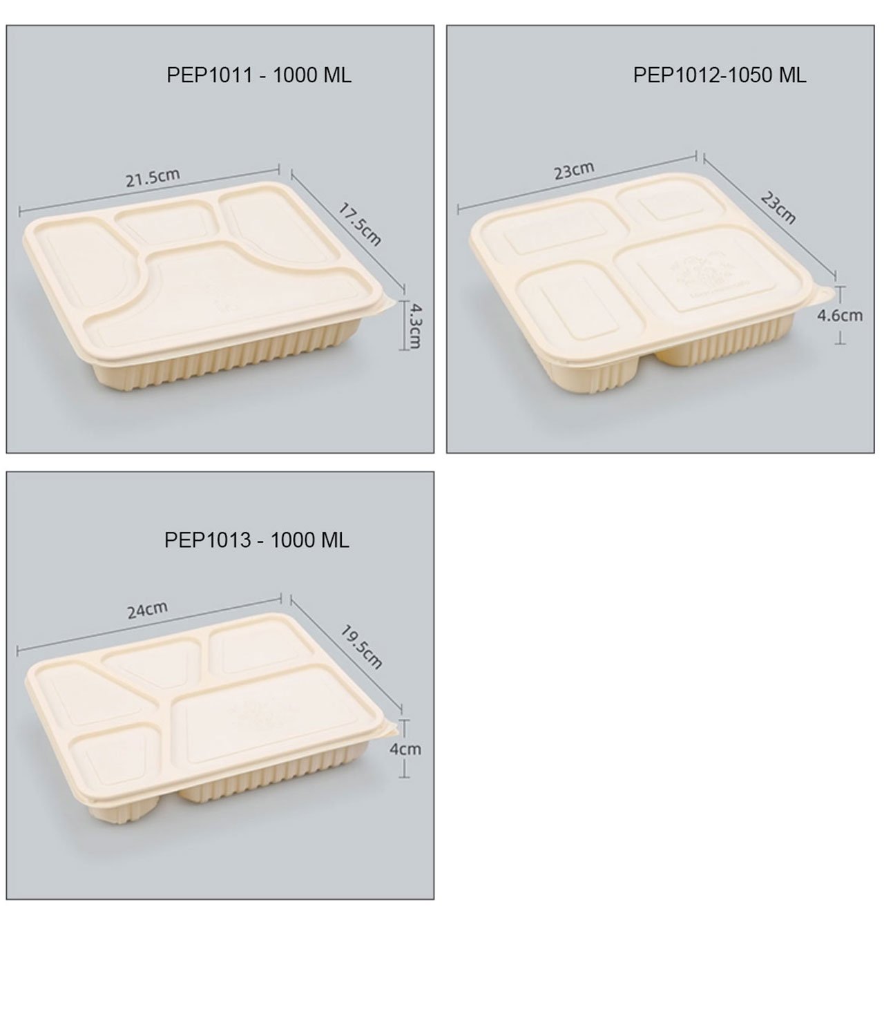 PLA Biodegradable Food Box - Jiake Global